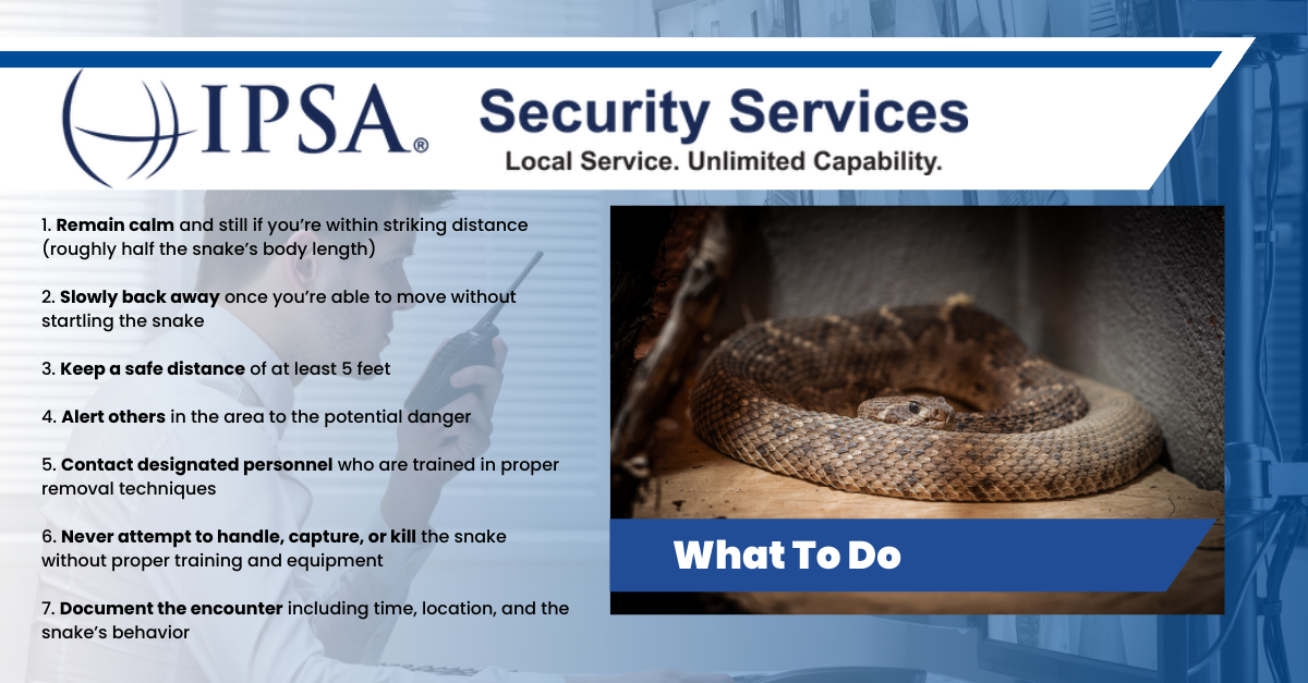 Slithering into Safety: Rattlesnake Season - IPSA Security Services